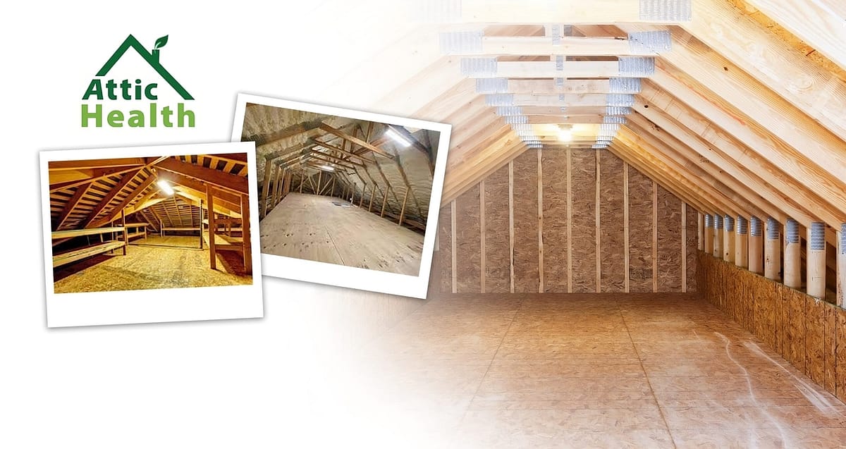 Safe Attic Mold Removal and Solution in San Diego, USA1