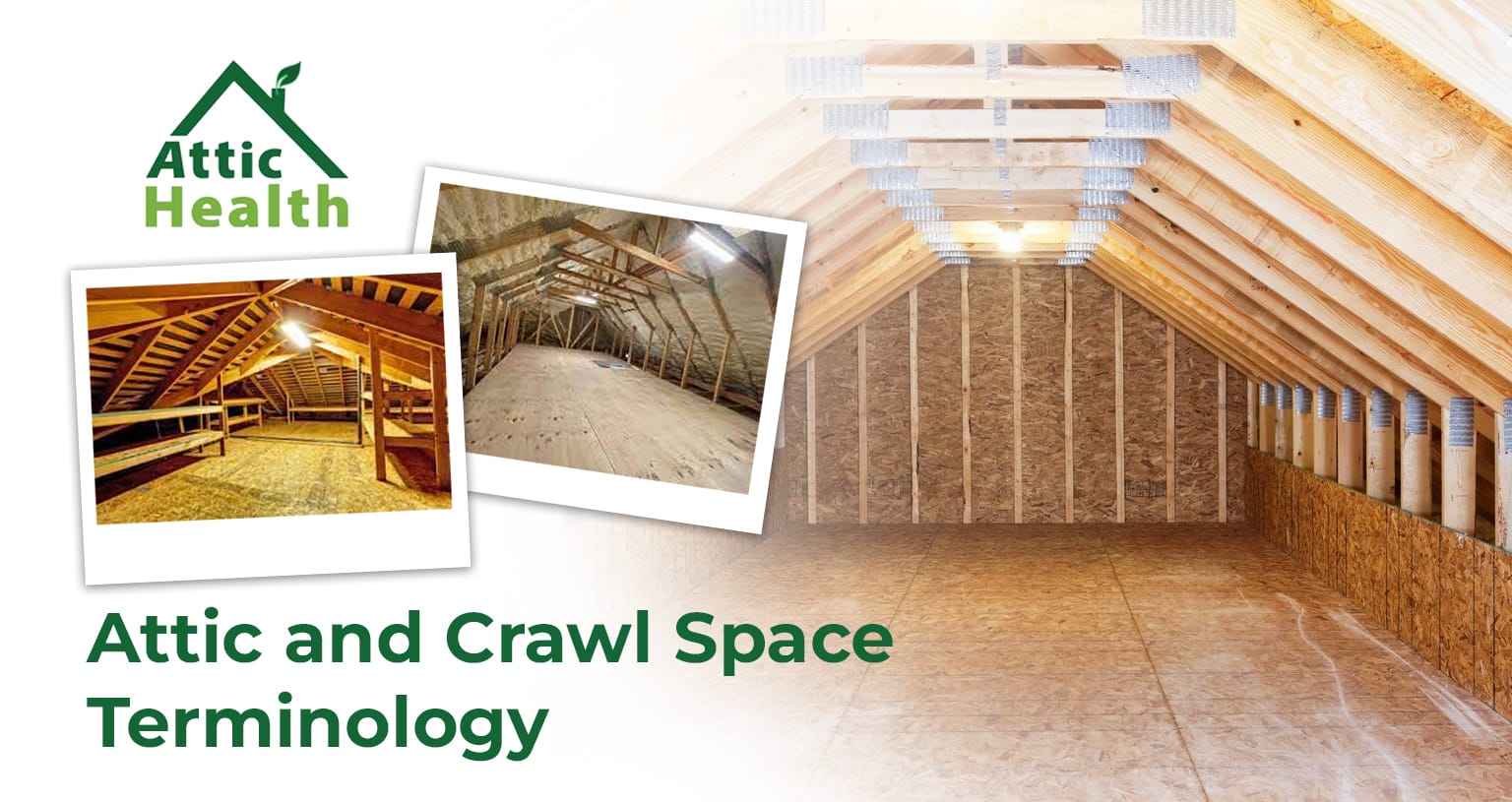 Attic and Crawl Space Terminology - #1 Attic Health